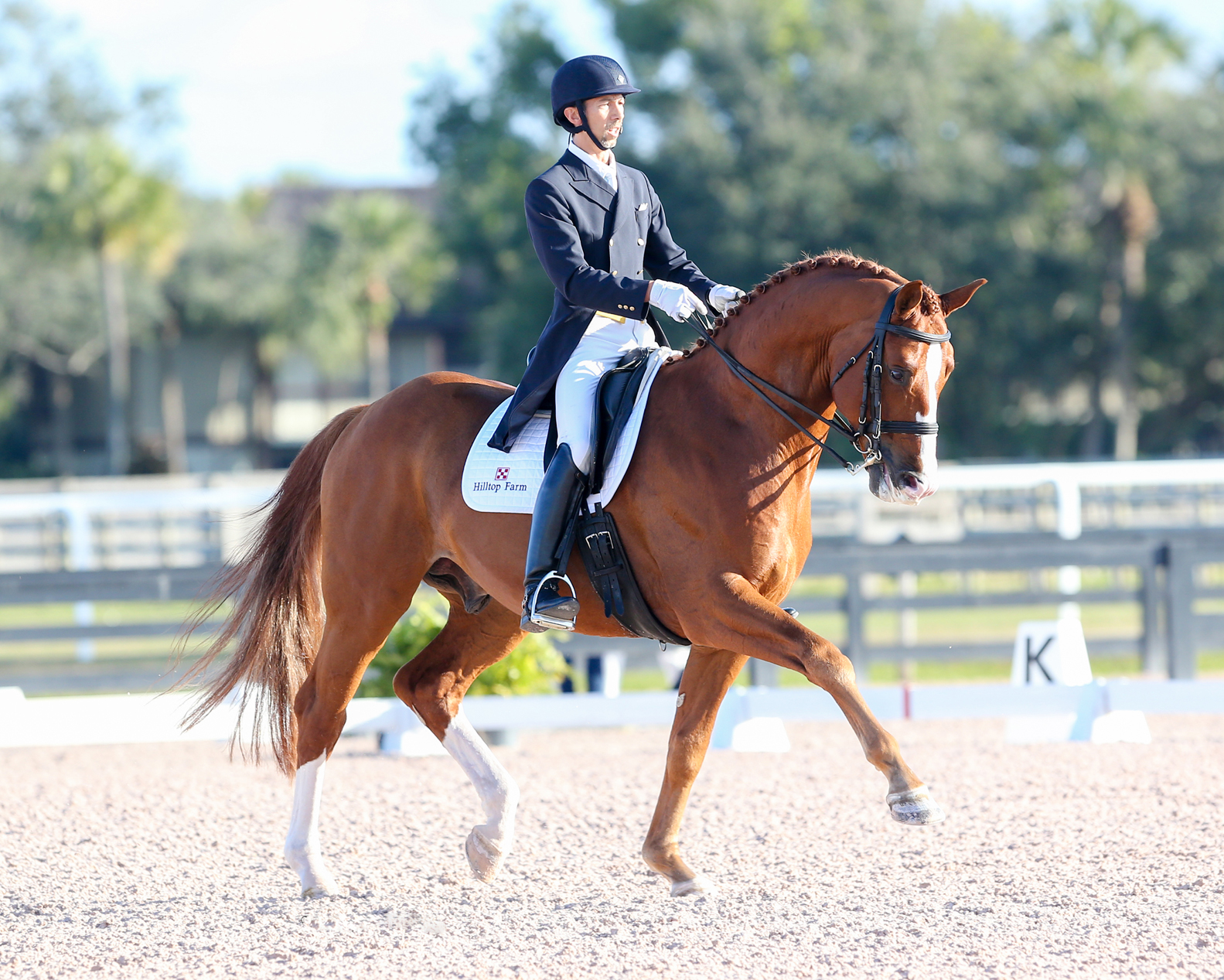 Qredit_US_3_SusanJStickle_stallion_web-1583x1266 - Hilltop Farm, Inc.