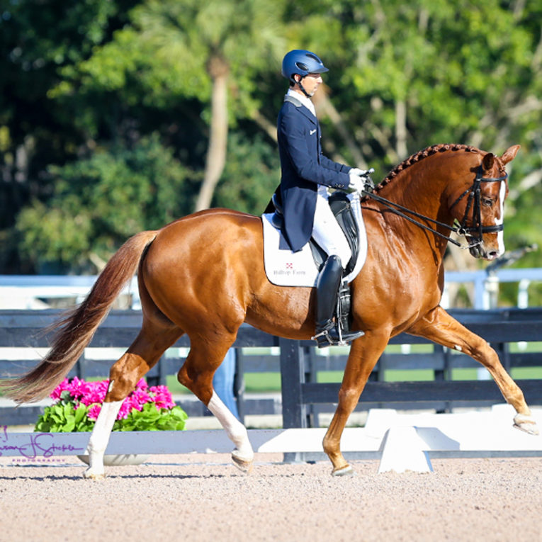 Training Services - Hilltop Farm, Inc.