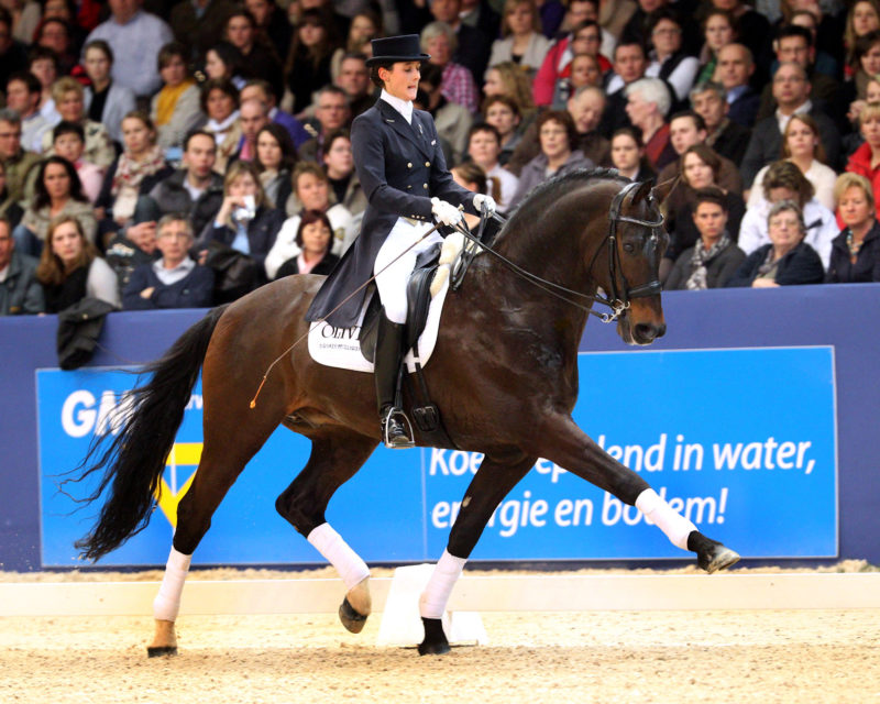 Home - Hilltop Farm, Inc.