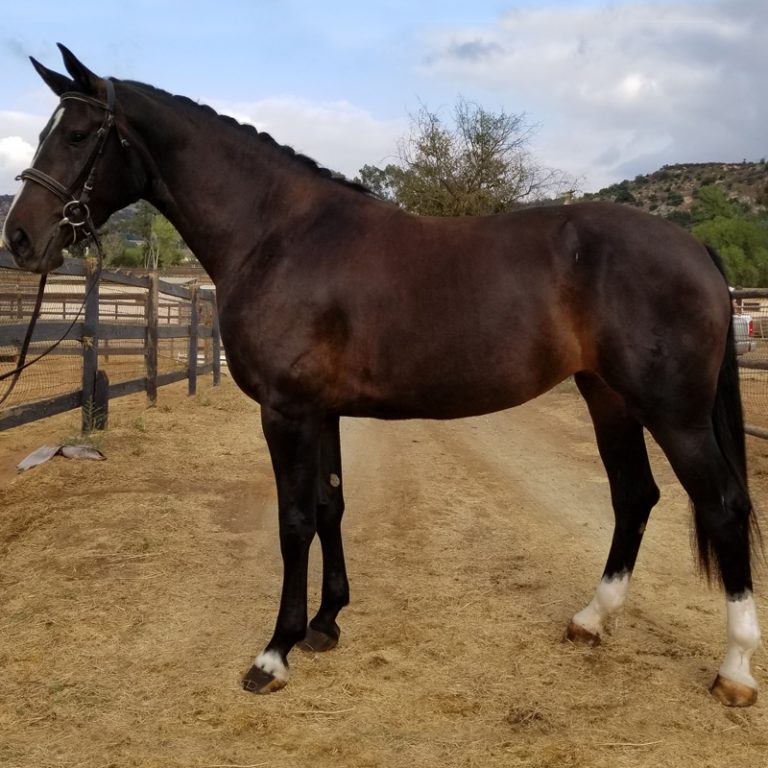 Sternlicht - Hilltop Farm, Inc.