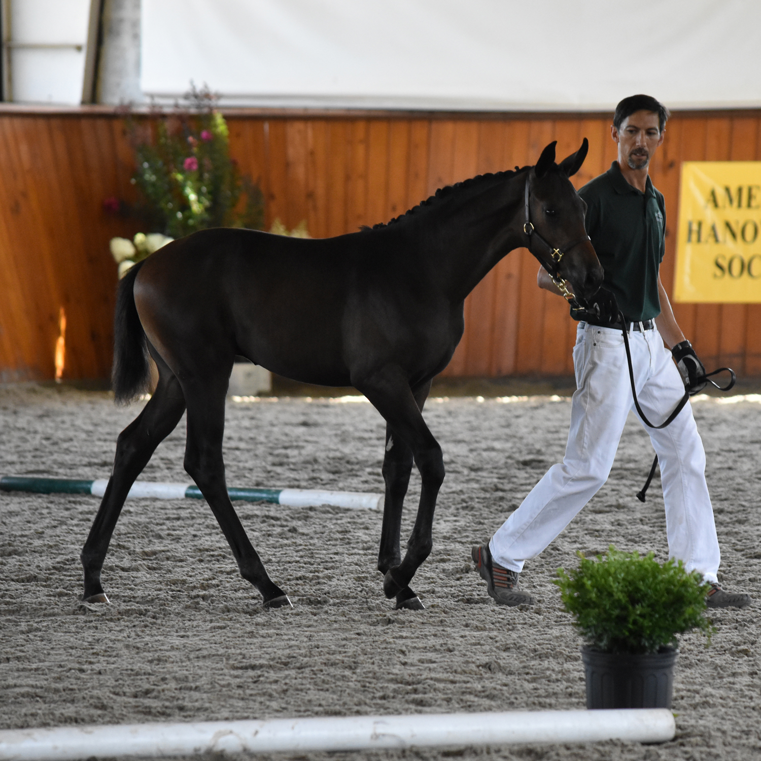 handling_400x400 - Hilltop Farm, Inc.