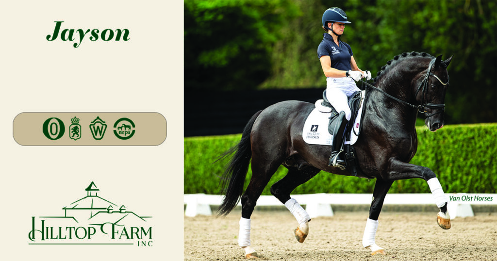 Jayson_Stallion-Link-Share-Photo - Hilltop Farm, Inc.