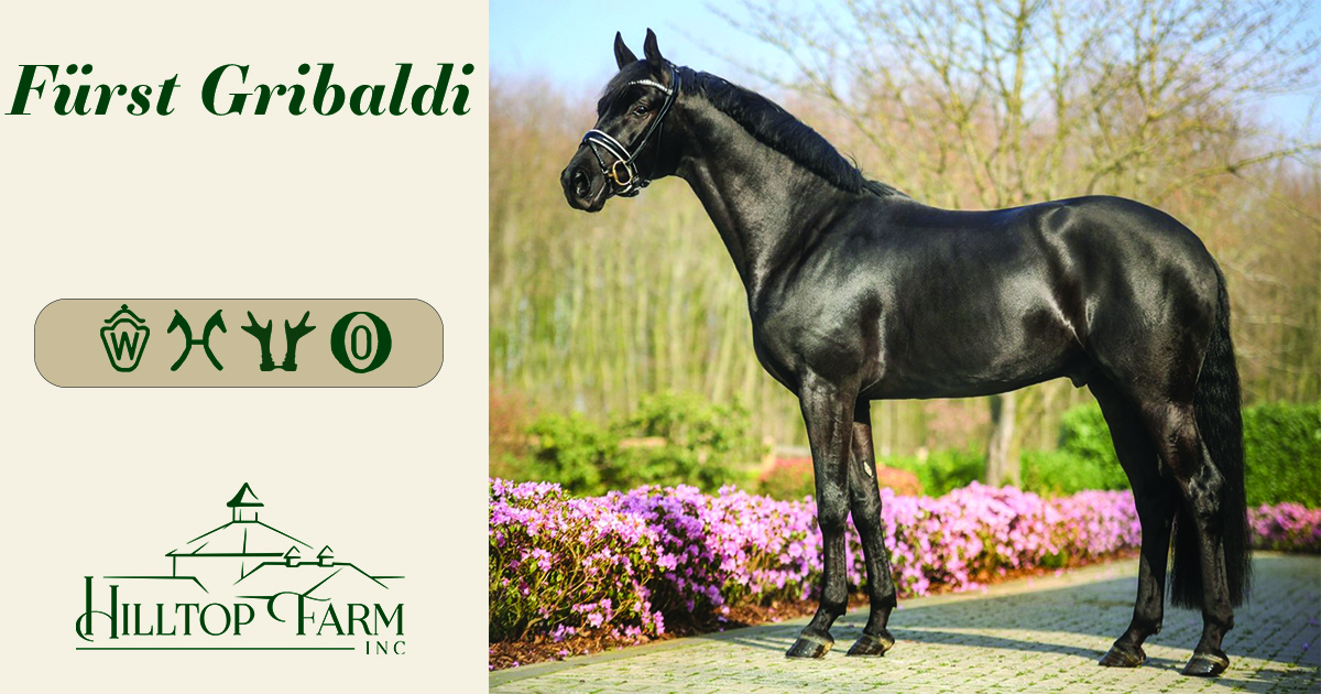 Fürst Gribaldi - Hilltop Farm, Inc.