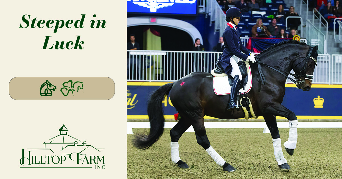 Steeped in Luck - Hilltop Farm, Inc.